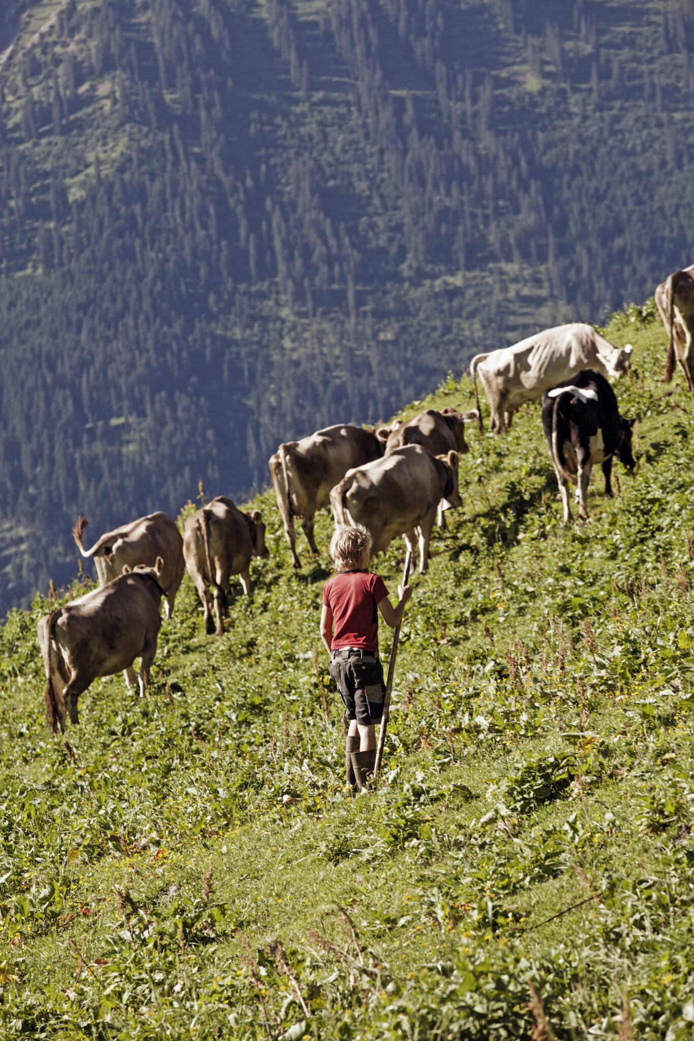 Unsere Partnerschaften - Alma